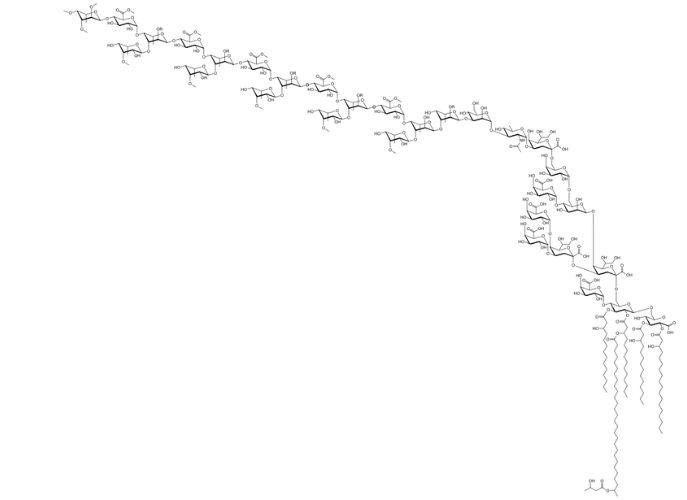 Lipopolisacáridos: qué son, características, estructura, tipos, funciones