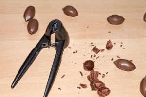 Nuez pecana: características, hábitat, usos, cuidados