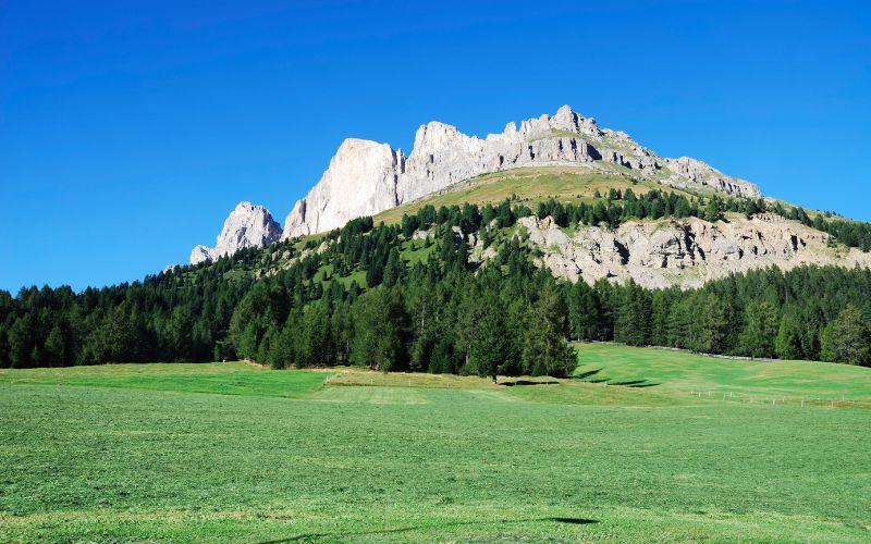 Pradera: qué es, características, tipos, flora, fauna, clima, ejemplos