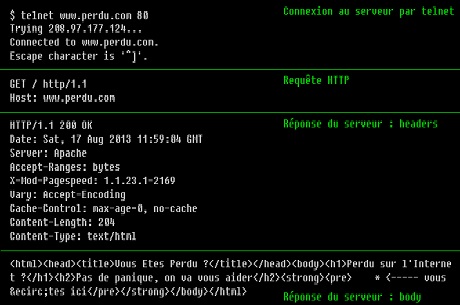 19 tipos de servidores y sus características