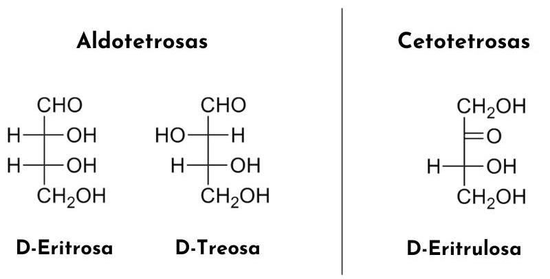 4 Aldotetrosas SOLUTION: Clasificacion De Los Carbohidratos
