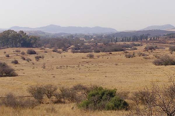 Pradera: qué es, características, tipos, flora, fauna, clima, ejemplos