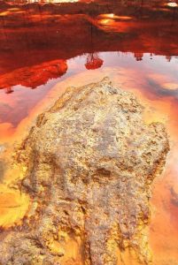 Acidófilos: características, ejemplos, aplicaciones