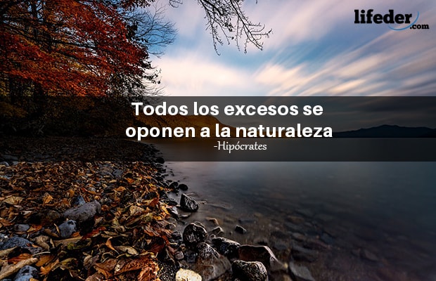 Las 105 mejores frases de Hipócrates - Lifeder