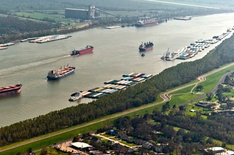 Río Misisipi: qué es, historia, características, ciudades, flora, fauna