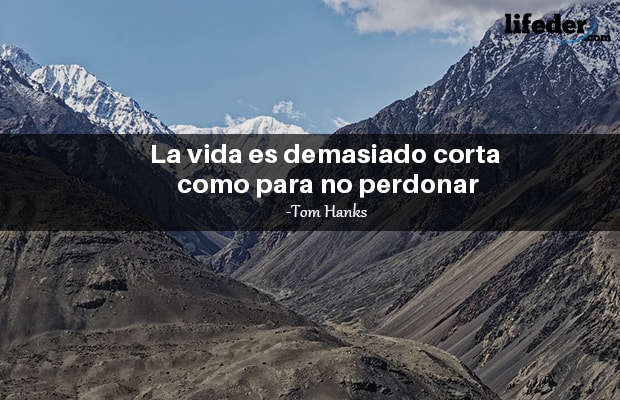 100 Bonitas Frases de Reconciliación - Lifeder