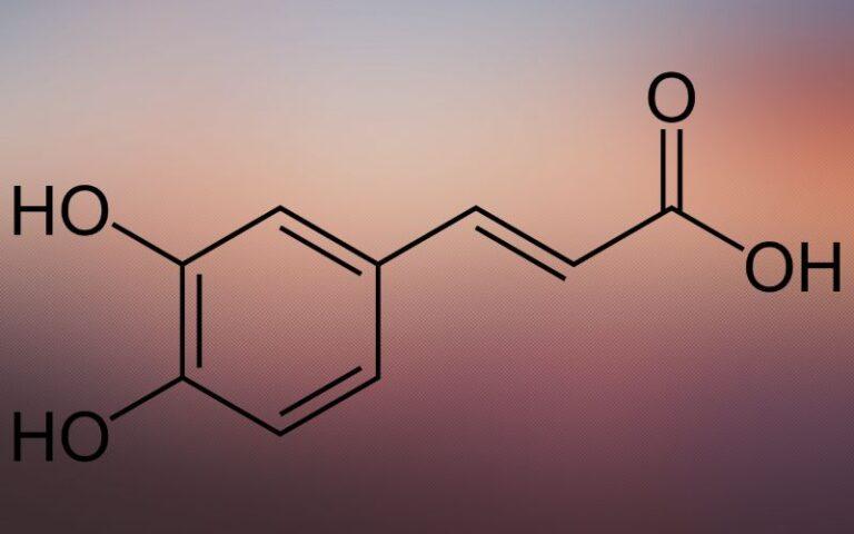Ácido cafeico: qué es, estructura, propiedades, biosíntesis, usos