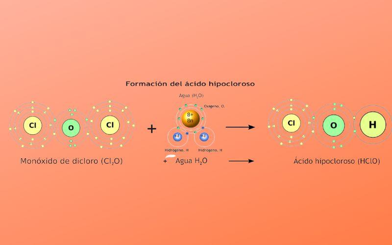 Ácido hipocloroso: qué es, estructura, propiedades, usos, riesgos