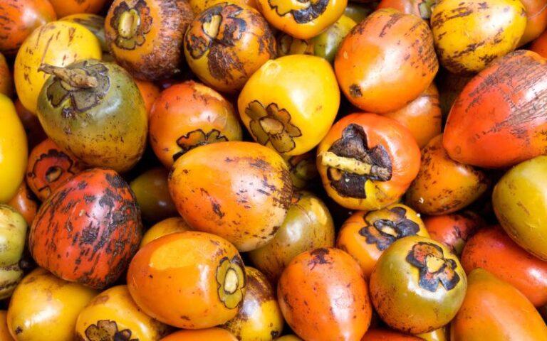 Chontaduro: qué es, características, propiedades para la salud, recetas