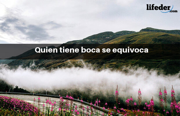 +125 Refranes Cortos y Populares [con Significado]