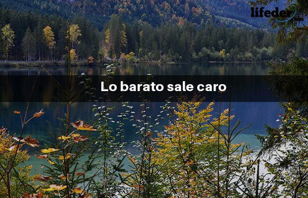 +125 Refranes Cortos y Populares [con Significado]