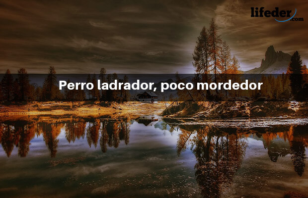 +125 Refranes Cortos y Populares [con Significado]