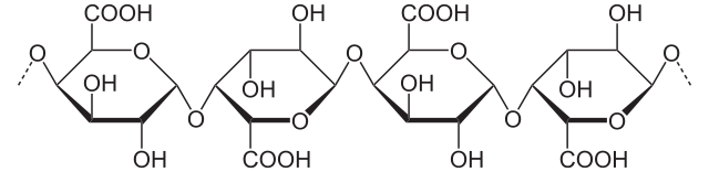 Pectina: qué es, estructura, tipos, funciones, aplicaciones