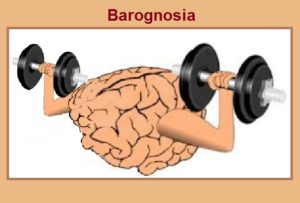 Barognosia: origen, concepto, test, trastornos relacionados