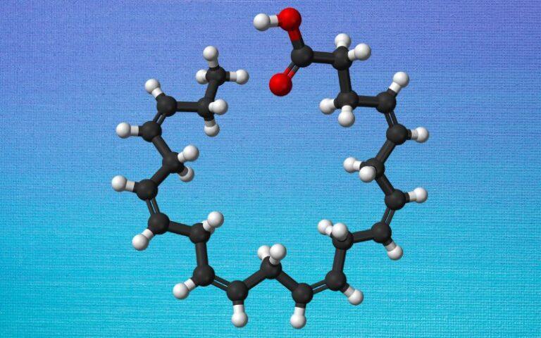DHA: qué es, estructura, funciones, síntesis, beneficios