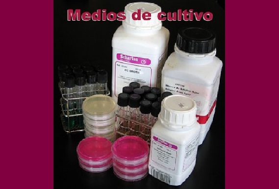 Medios de cultivo: historia, función, tipos, preparación