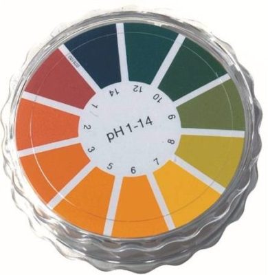 S.P.L. Sørensen: quién fue, biografía, aportes a la ciencia