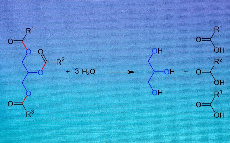 Hidrólisis: qué es, en qué consiste y ejemplos