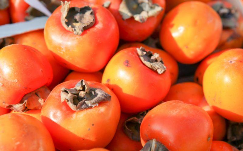 Kaki: qué es, características, hábitat, propiedades y cuidados