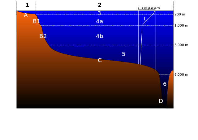 Zona abisal: concepto, características, flora y fauna