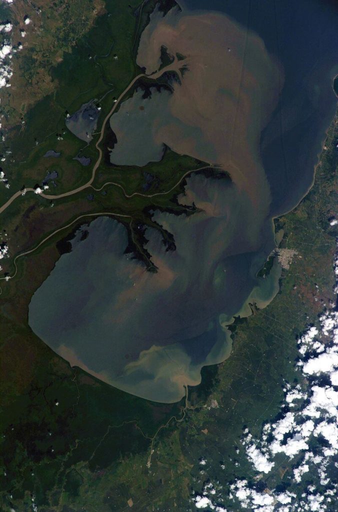 Río Atrato: qué es, características, afluentes, flora, fauna