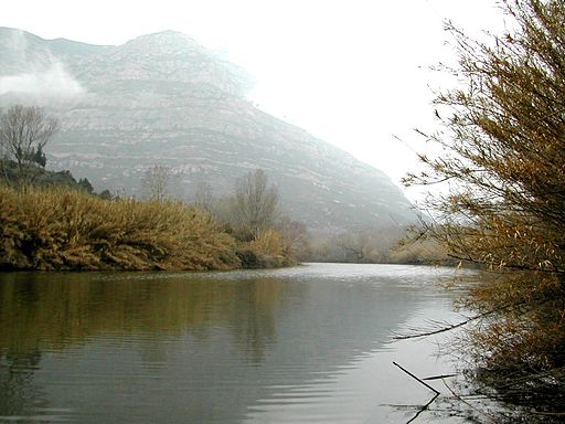 Río Llobregat: historia, características, recorrido, afluentes, flora