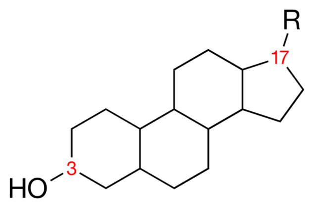 Esteroles: qué son, estructura, funciones y ejemplos