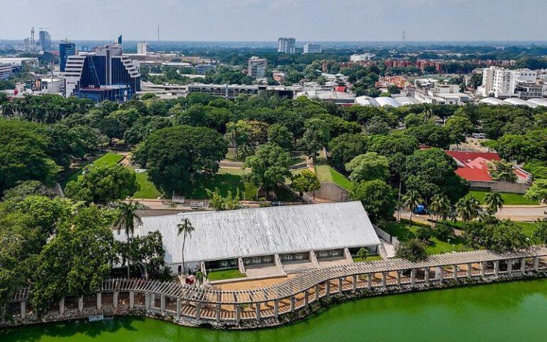 Sureste de México: qué es, estados, clima, flora, fauna