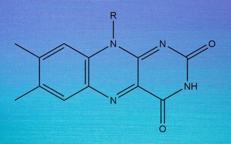 Biocompuestos: qué son, clasificación e importancia