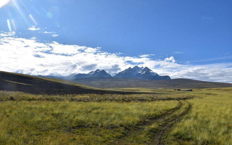 Región Suni: que es, características, relieve, flora, fauna, clima