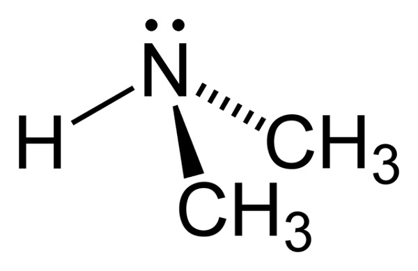 Dimetilamina ((CH3)2NH): estructura, propiedades, usos, riesgos
