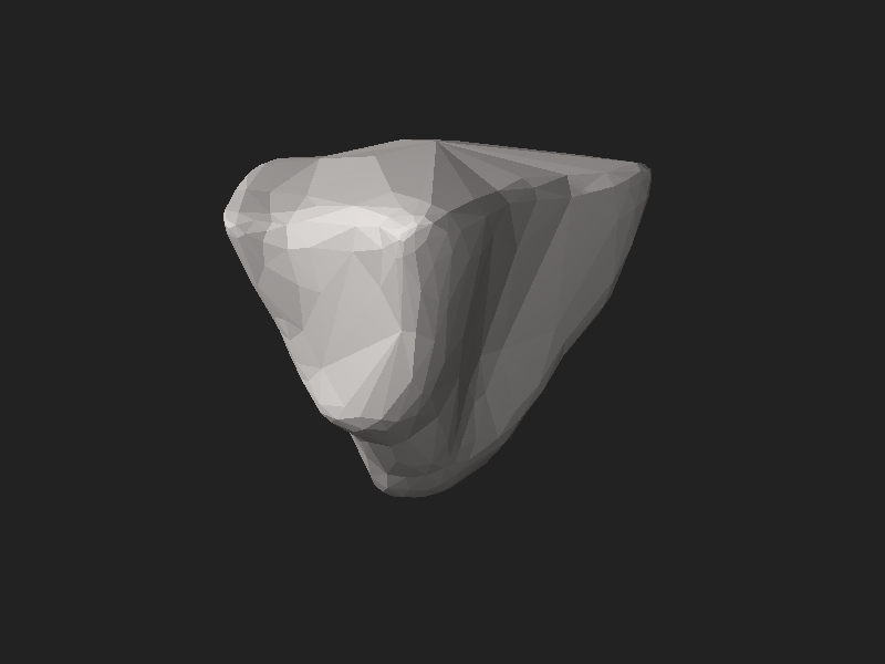 Apófisis xifoides: características, función, alteraciones, trastornos