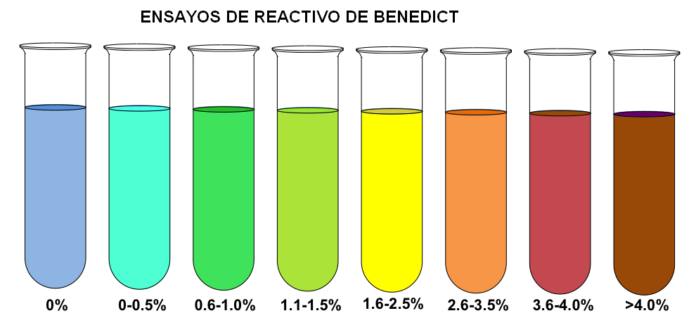 Reactivo de Benedict: para qué sirve, componentes, preparación