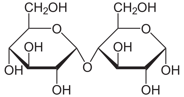 Clasificación de los carbohidratos (con imágenes)