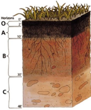 Densidad aparente: qué es, fórmulas, unidades, medición, ejercicios