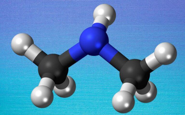 Dimetilamina: qué es, estructura, propiedades,usos y riesgos