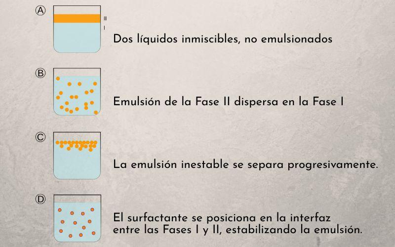 Emulsificante: qué es, proceso de emulsión, aplicaciones