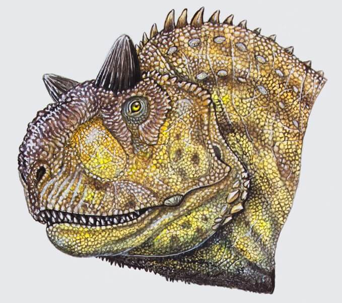 Carnotaurus sastrei: características, hábitat, alimentación, reproducción