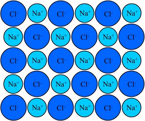 ¿Cuáles son los Componentes de la Sal?