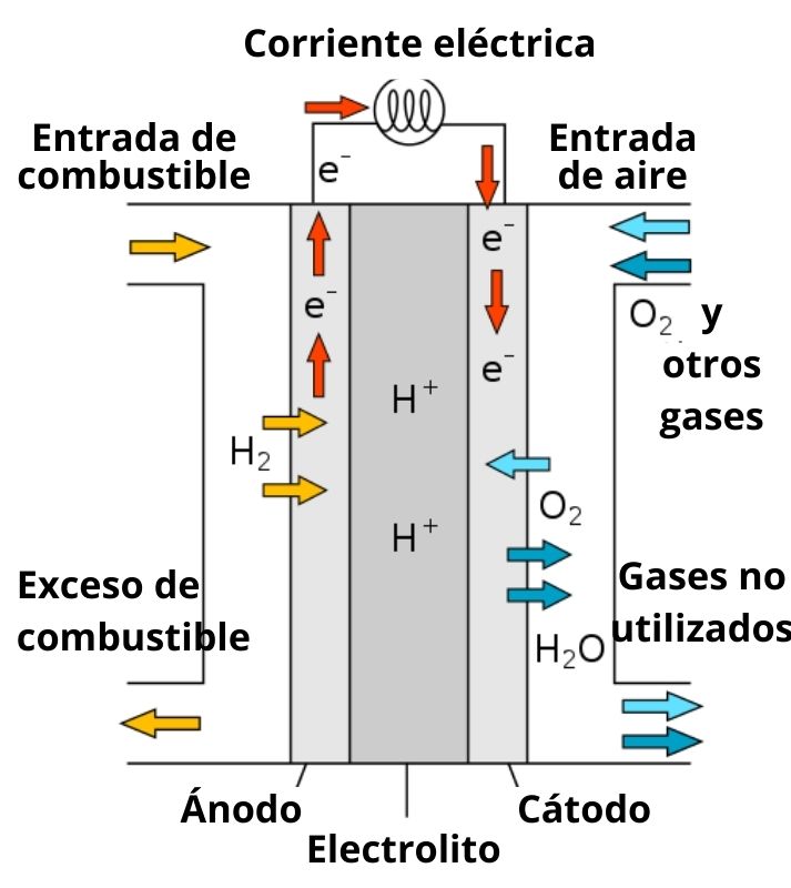 Celdas electroquímicas: concepto, componentes, tipos, ejemplo Celdas electroquímicas: concepto, componentes, tipos, ejemplo