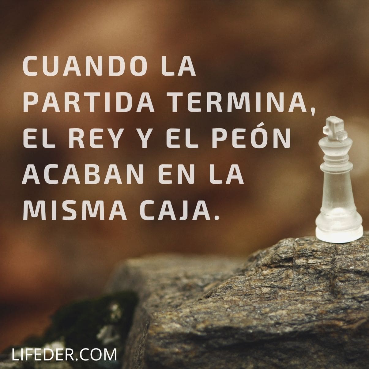 250+ Frases de Reflexión Cortas (con Imágenes) - Lifeder
