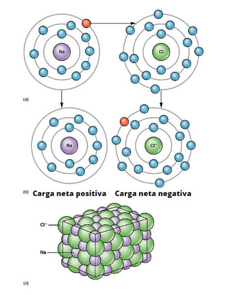 Enlace iónico: características, cómo se forma y ejemplos
