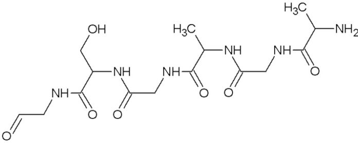 Proteínas fibrosas: concepto, estructura, funciones y ejemplos
