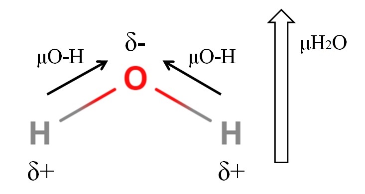 Momento dipolar: cómo se calcula y ejemplos