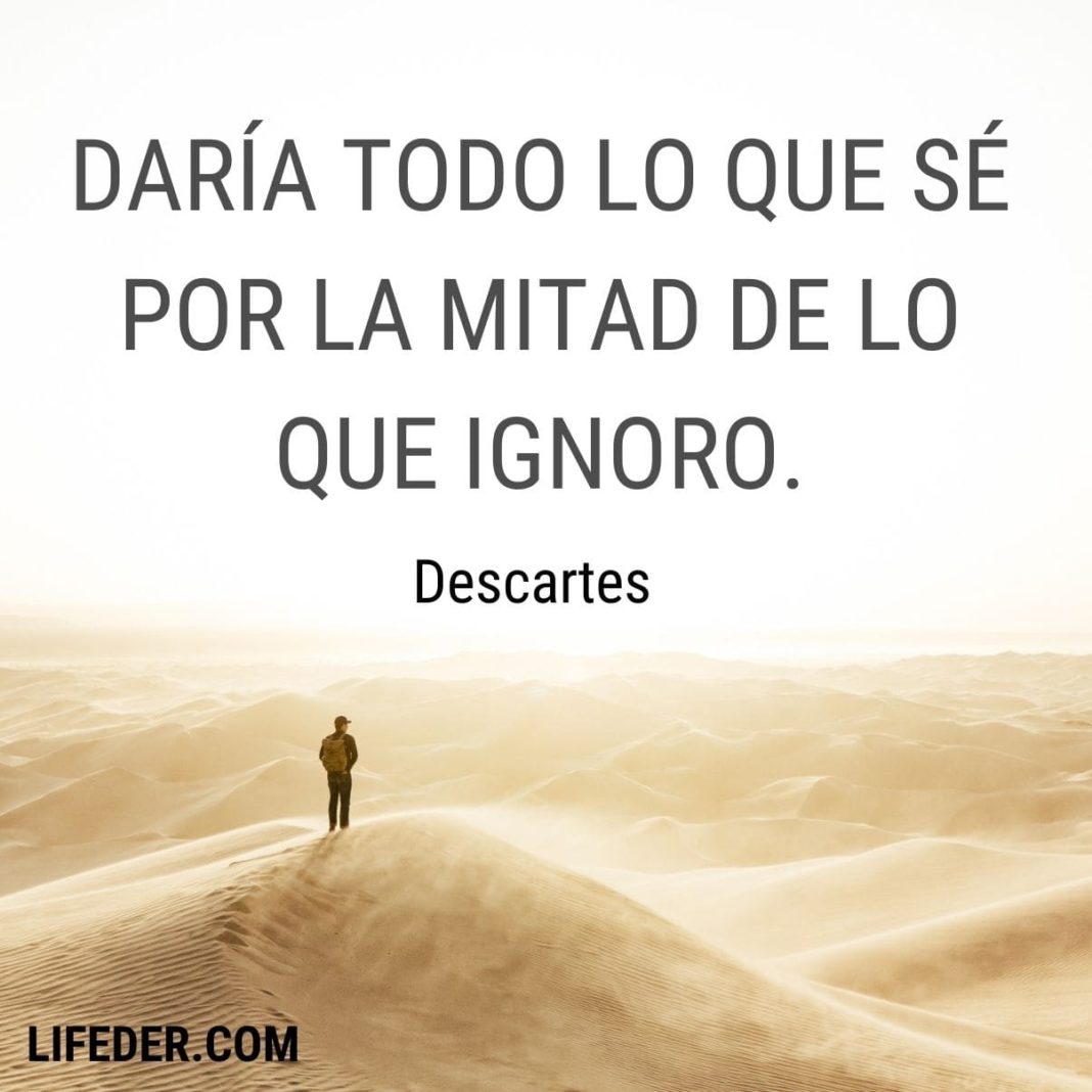 250+ Frases de Reflexión Cortas (con Imágenes)