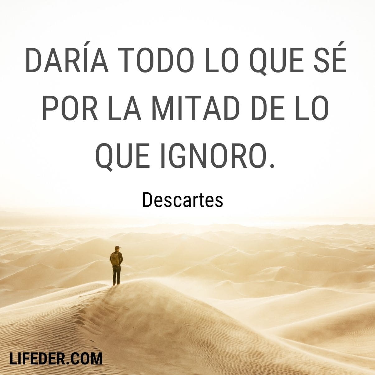 250+ Frases de Reflexión Cortas (con Imágenes)