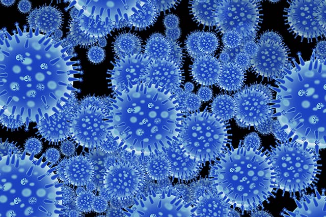 Contaminantes biológicos: componentes, tipos y consecuencias