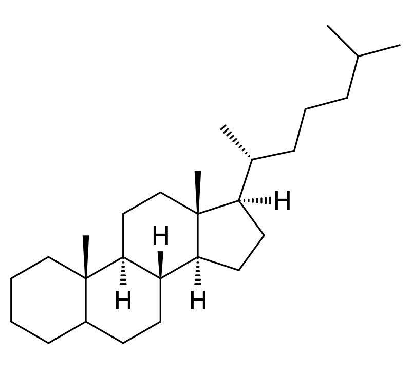 Esteroides: características, estructura, funciones, clasificación