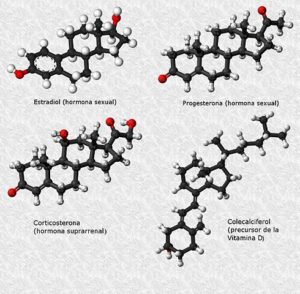 Esteroides: características, estructura, funciones, clasificación