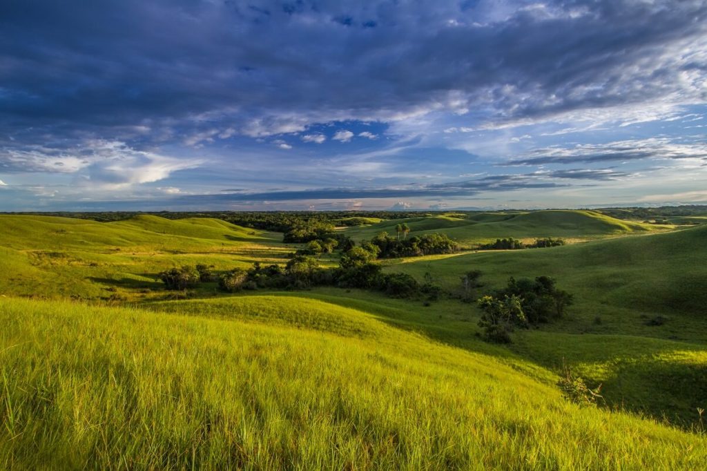Relieve colombiano: cordilleras, montañas, mesetas, llanuras, islas